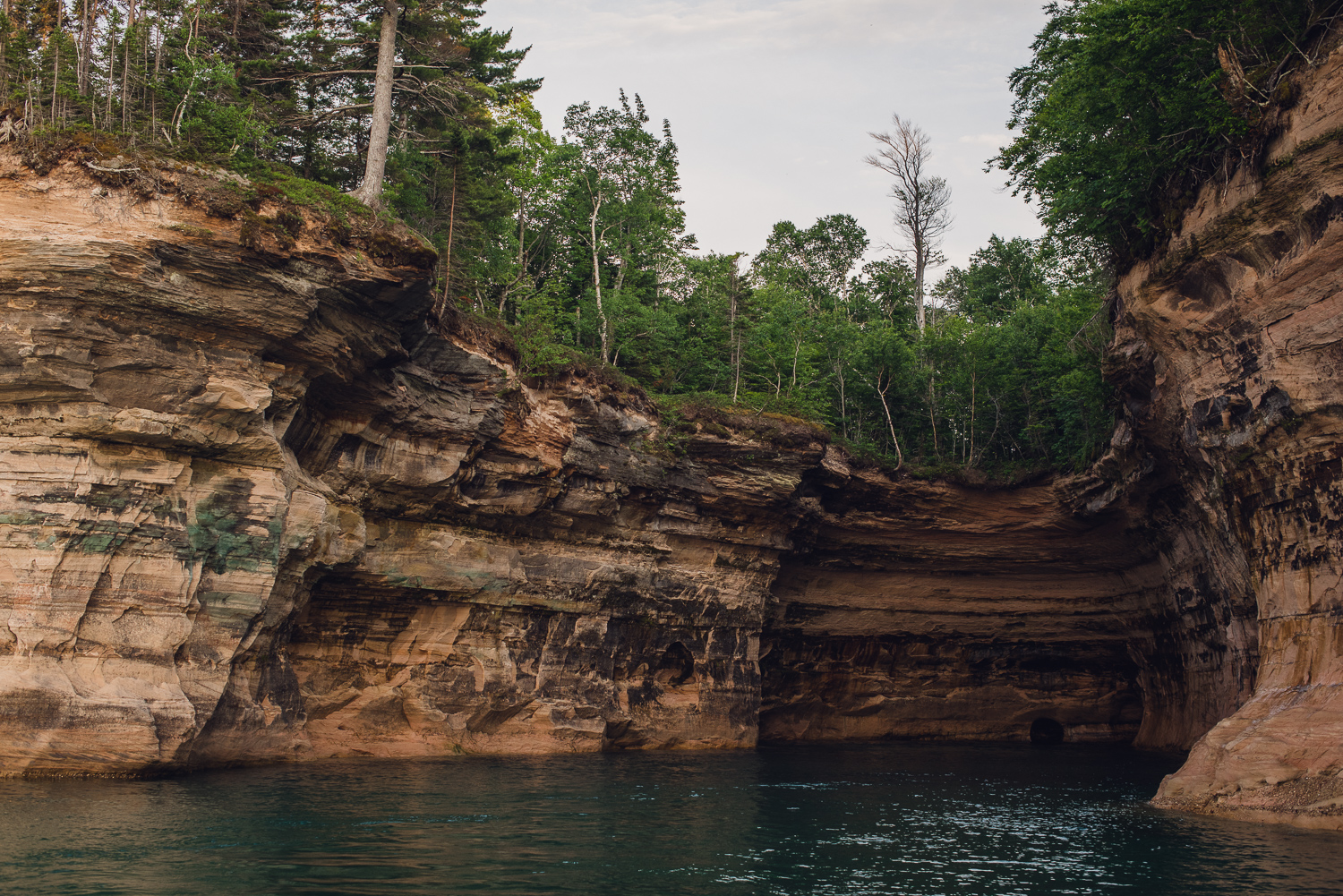 websize-1155 | Melodic View