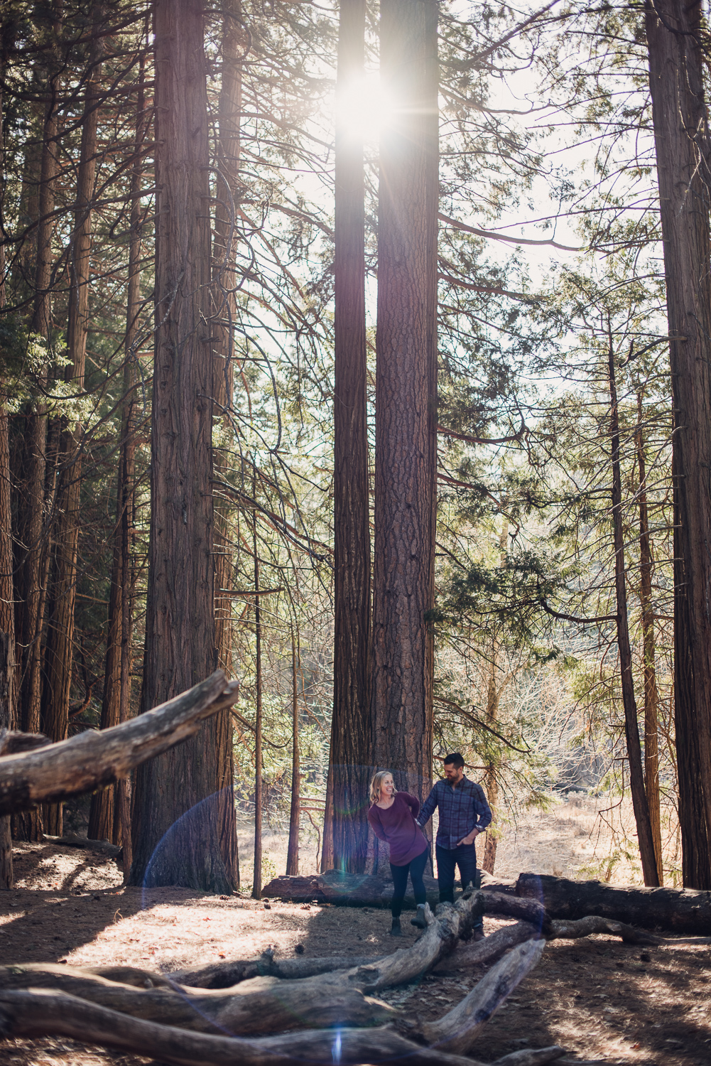 websize-1054 | Melodic View